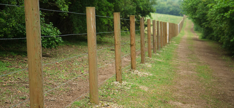 Agricultural - Wildcat Fence