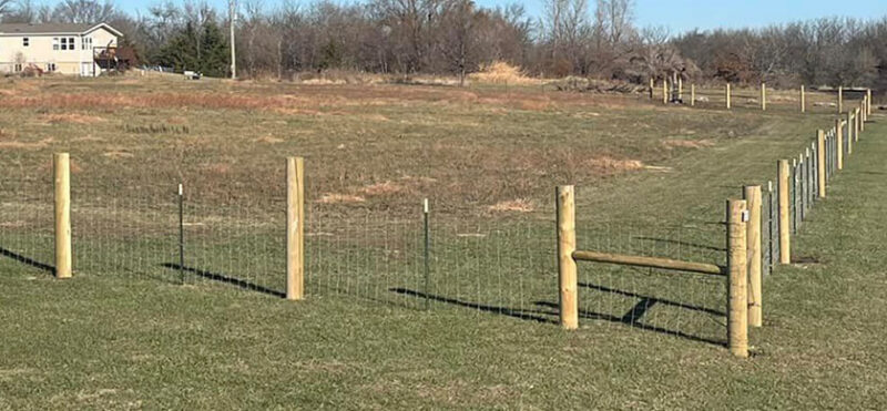 Agricultural - Wildcat Fence